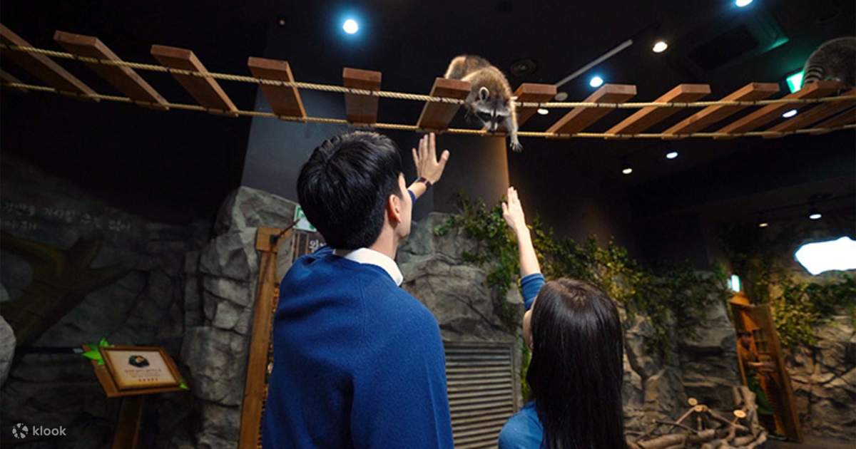 [Kook] Seoul Zoolung Zoolung Indoor Animal Theme Park - Klook香港
